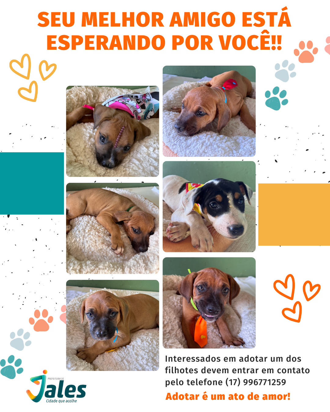 Janeiro Branco: Conscientização sobre cuidados neonatais garante um ...